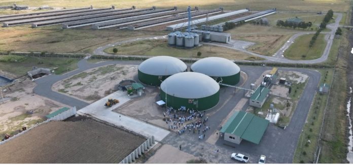 Grupo Riccillo certificó bajo normas IRAM-ISO su planta de ...