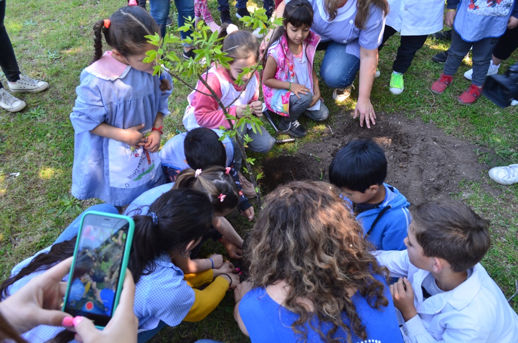 Proyecto de articulación de niveles en el ISFD N °16 - La Mañana